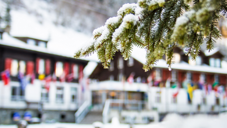 Photography Inspiration: Sannah Kvist - Iniwoo.net